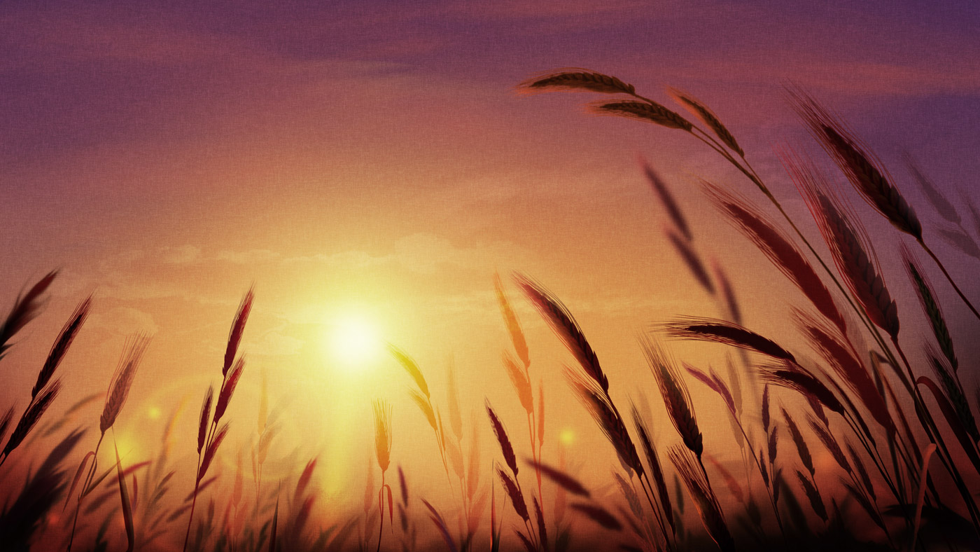 fbcl_ladies-bs-2023-bg | FBCL