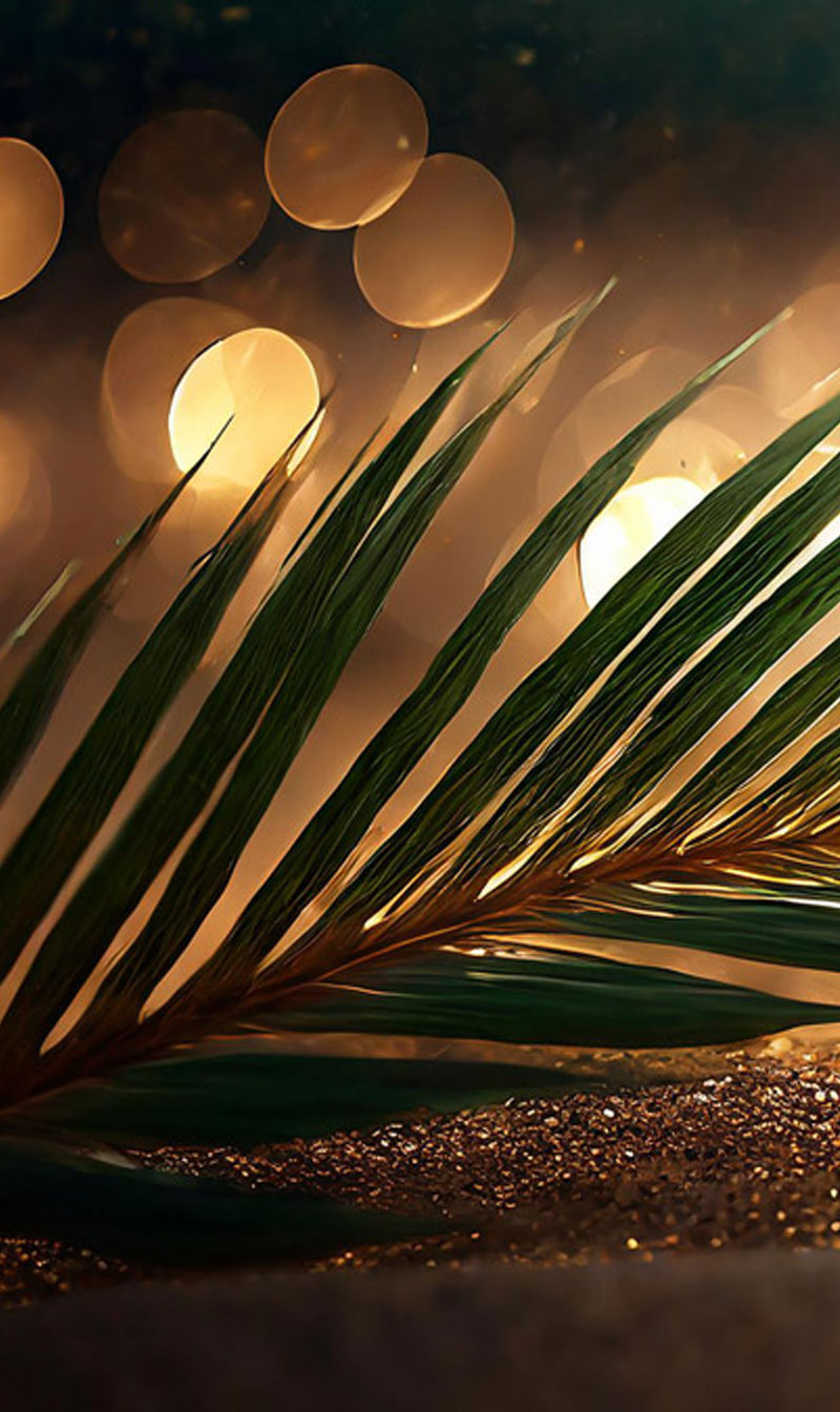 FBCL-palm-branch-Bg | FBCL